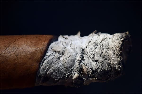 How to Ash a Cigar - Plush Cigar