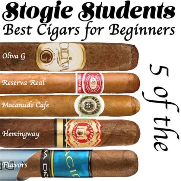 Types of Cigars Flavors & Cigar Flavors Chart & Colors 2025