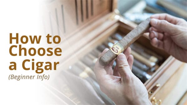 How to Choose Cigar – Best Buying Guide for Beginners - Plush Cigar