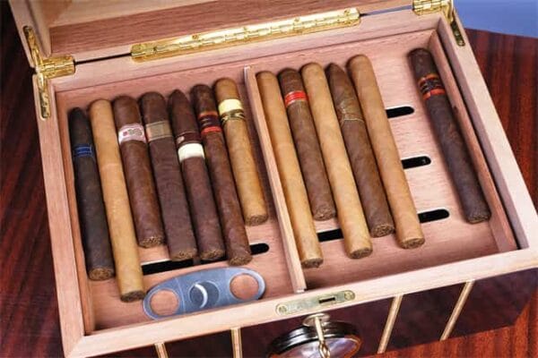 How to Set Up a Humidor First Time: A Complete Guide - Plush Cigar