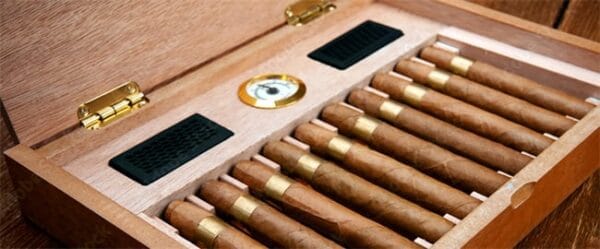 How to Set Up a Humidor First Time: A Complete Guide - Plush Cigar
