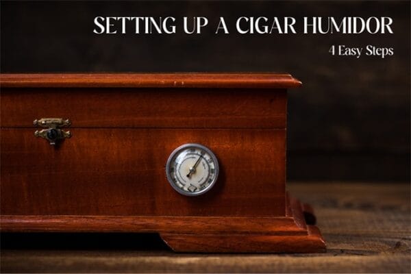 How to Set Up a Humidor First Time: A Complete Guide - Plush Cigar