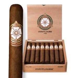 Mayflower Cigar Review 2025 - Plush Cigar