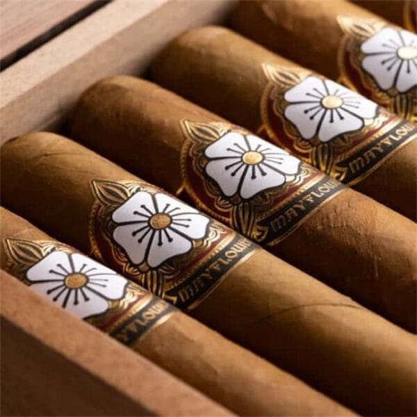 Mayflower Cigar Review 2025 - Plush Cigar
