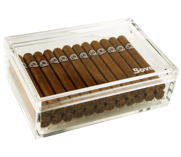 Best Boveda Small Acrylic Humidor Review 2024 - Plush Cigar