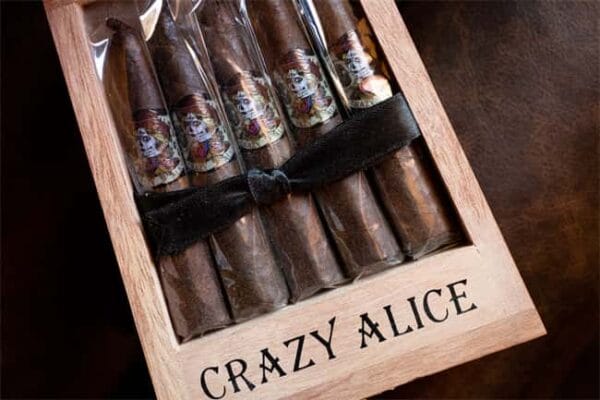 Crazy Alice Cigar Review 2025 - Plush Cigar