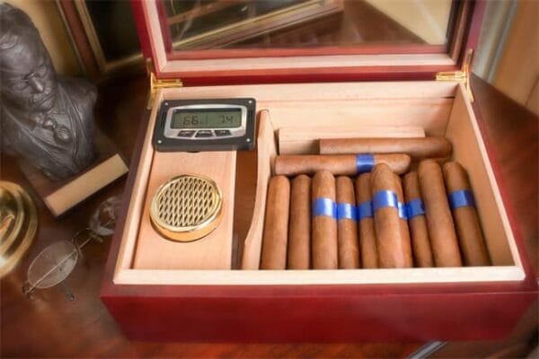 How to Set Up a Humidor First Time: A Complete Guide – Plush Cigar